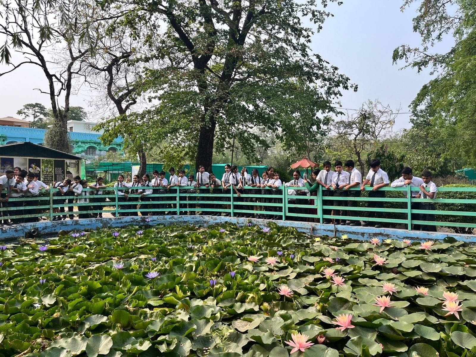 Edu Mount International School