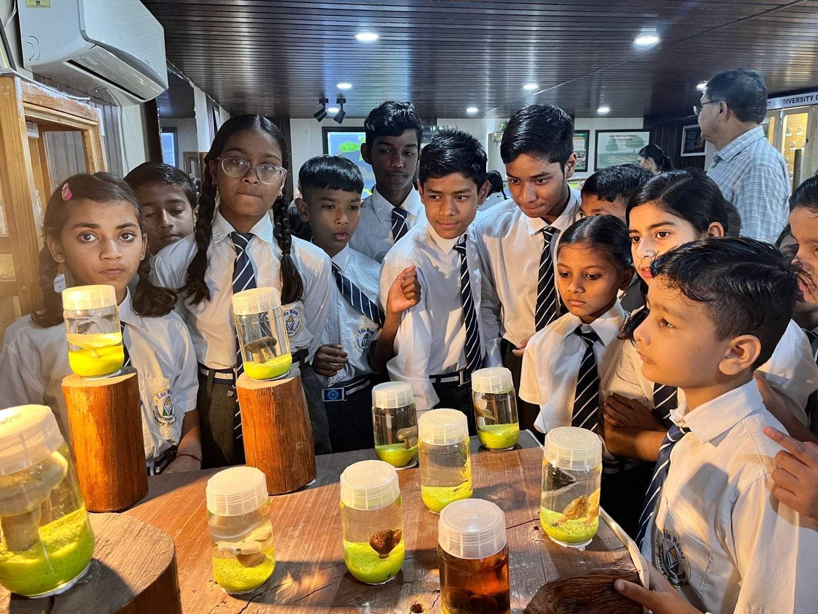 Edu Mount International School