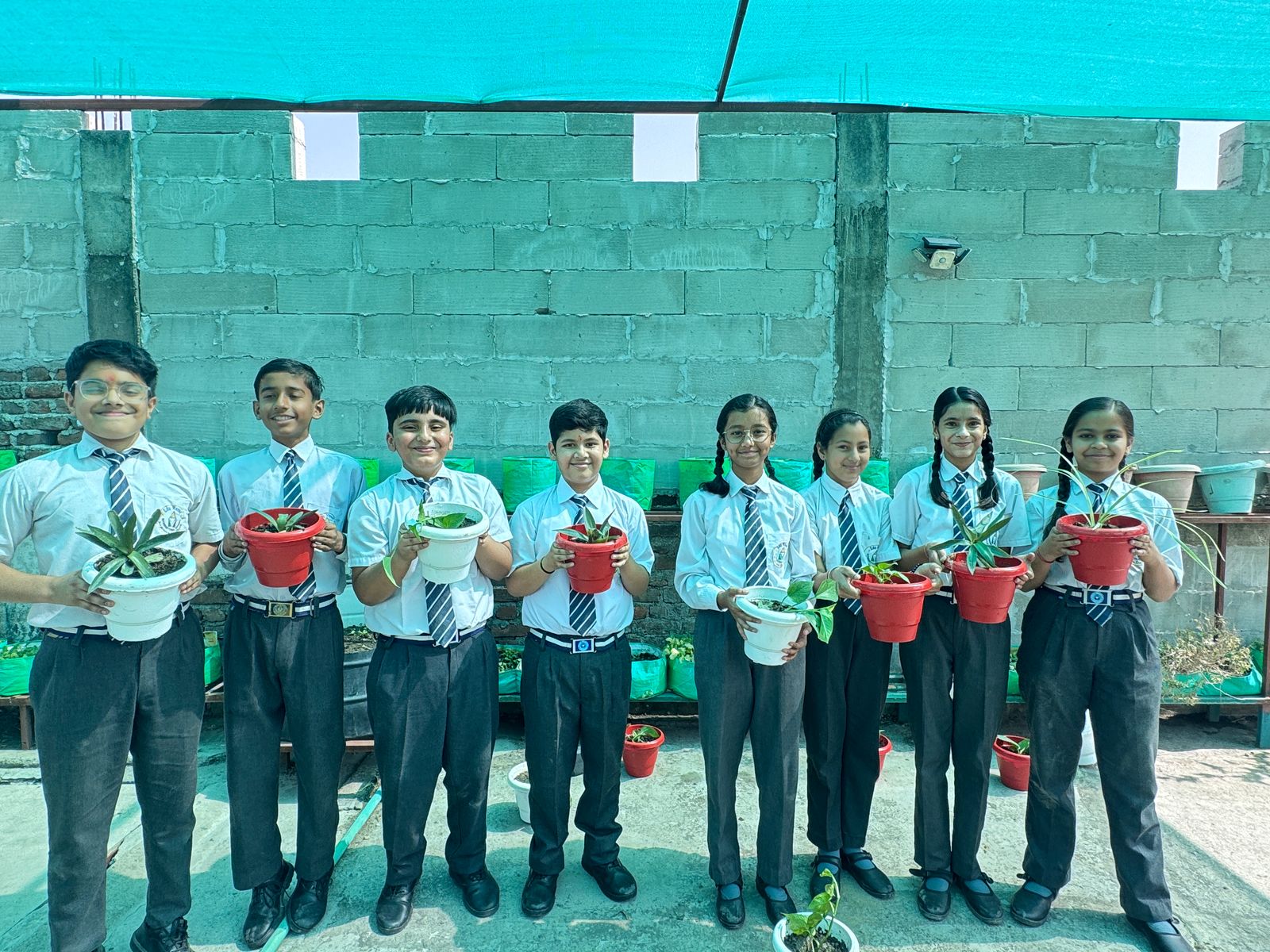 Edu Mount International School