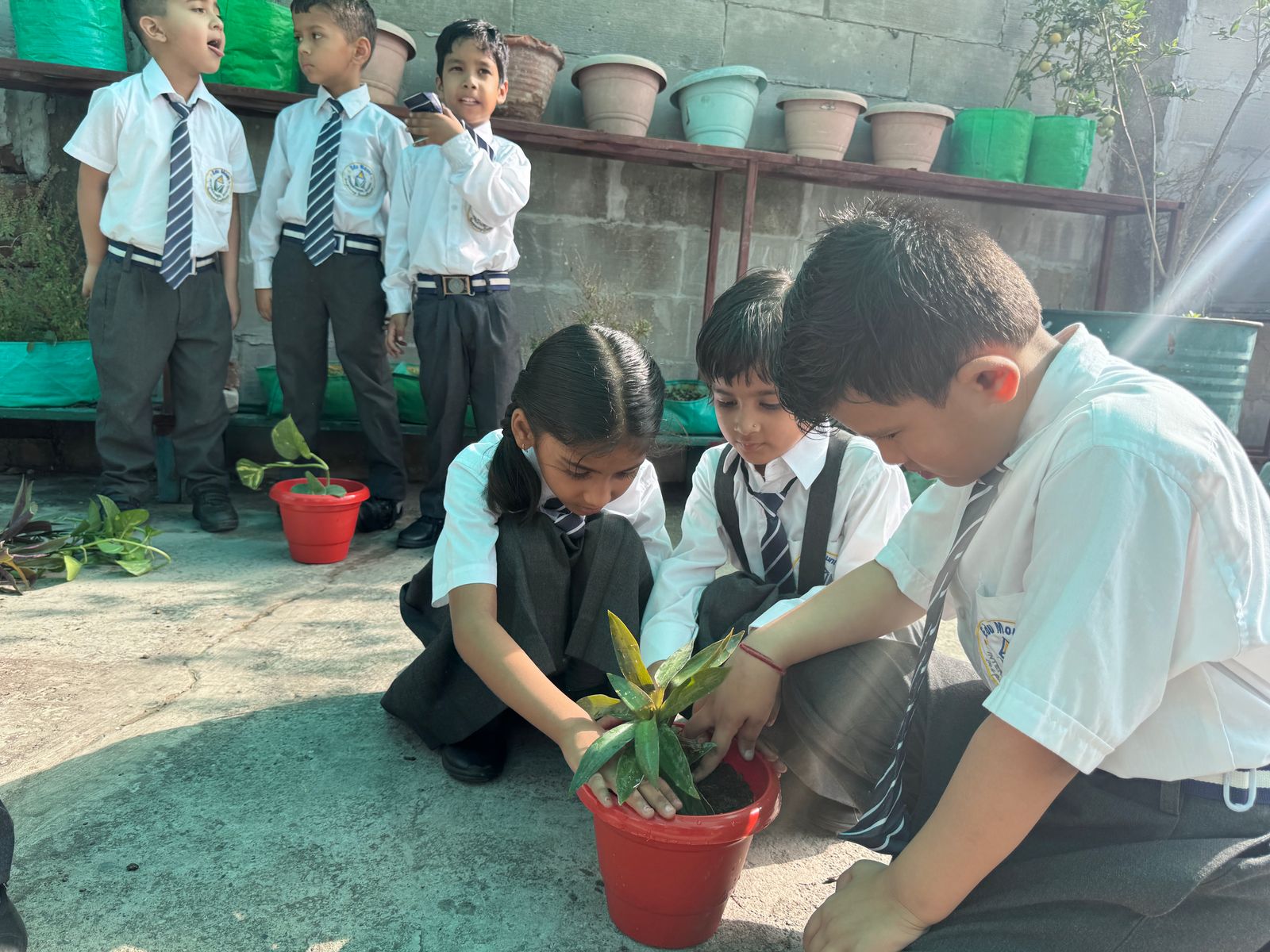 Edu Mount International School