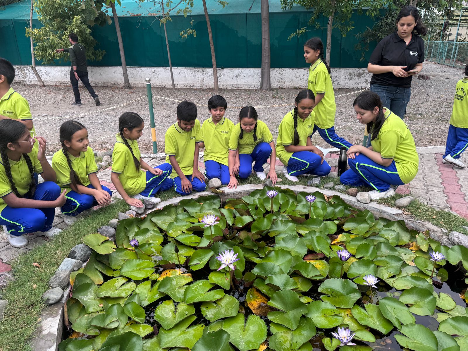 Edu Mount International School